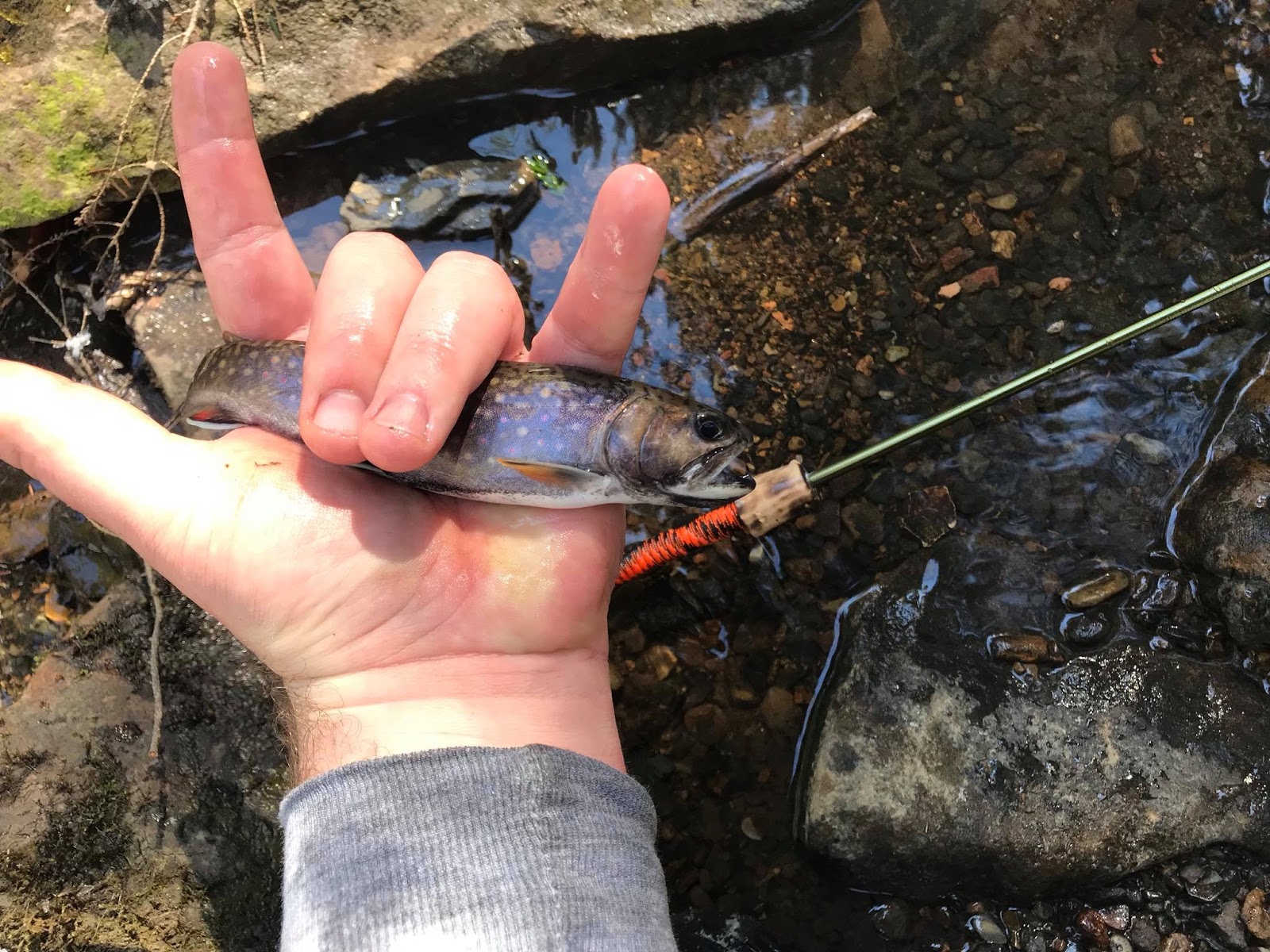 Full Circle Outdoor Lifestyle: Intro to Blue Line Fly Fishing
