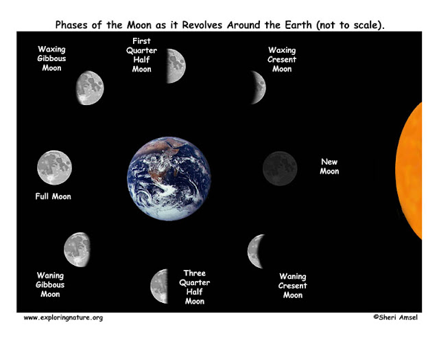 Ask UP AstroSoc: Q5: Are the phases of the Moon the same all over the ...