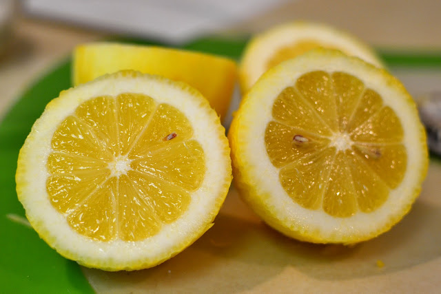 From Horses to Photography: Lemon Squares