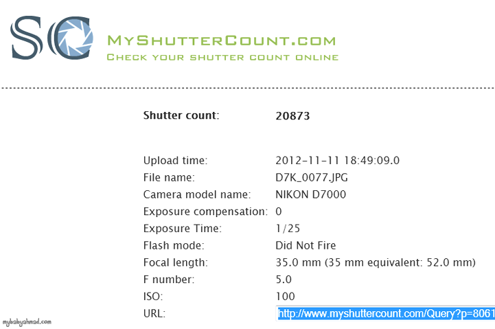 Shutter Count Dan Bagaimana Menilainya | Neskopi The Upmazing