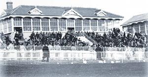 Tall Tales from the Trees: GEORGE HENRY VERRALL (1848-1911) AND THE FEN ...