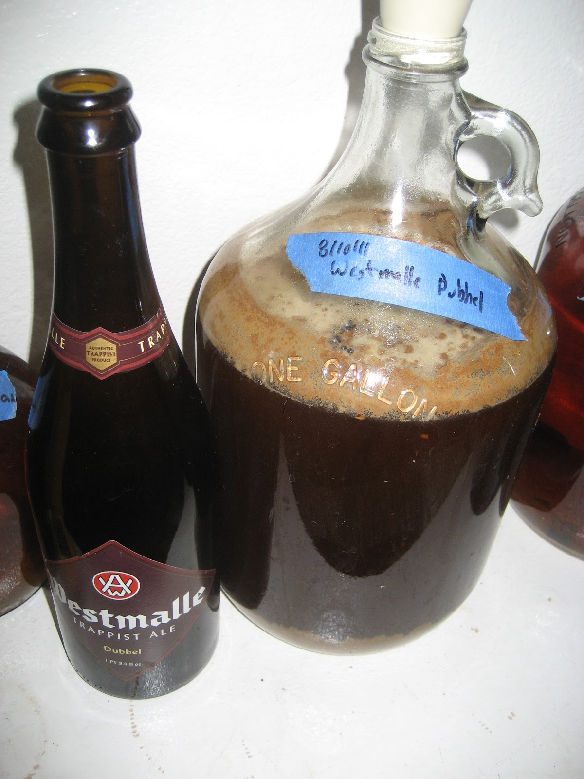 Bikes, Beer, and Adventures: Dreg Series: Westmalle Belgian Dubbel