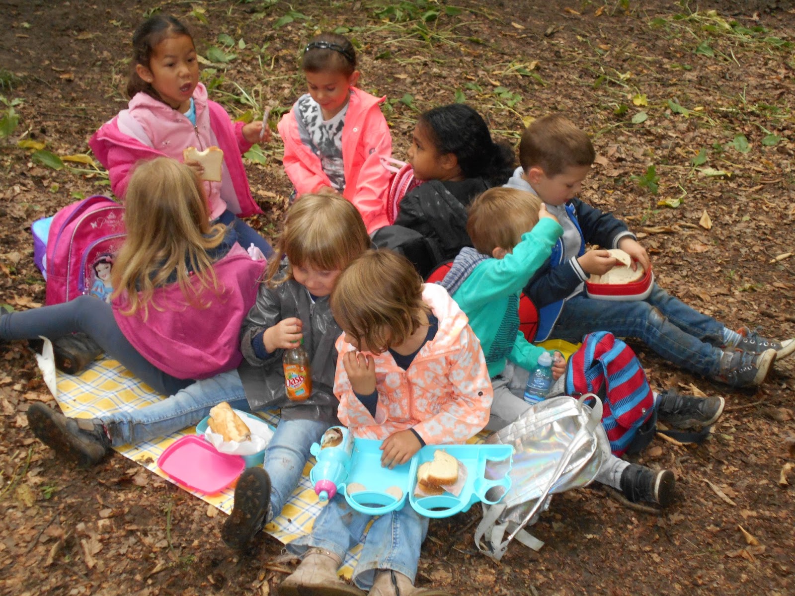 Excusion au bois d'Argenteau... - École Saint-Joseph à Roclenge - Blog