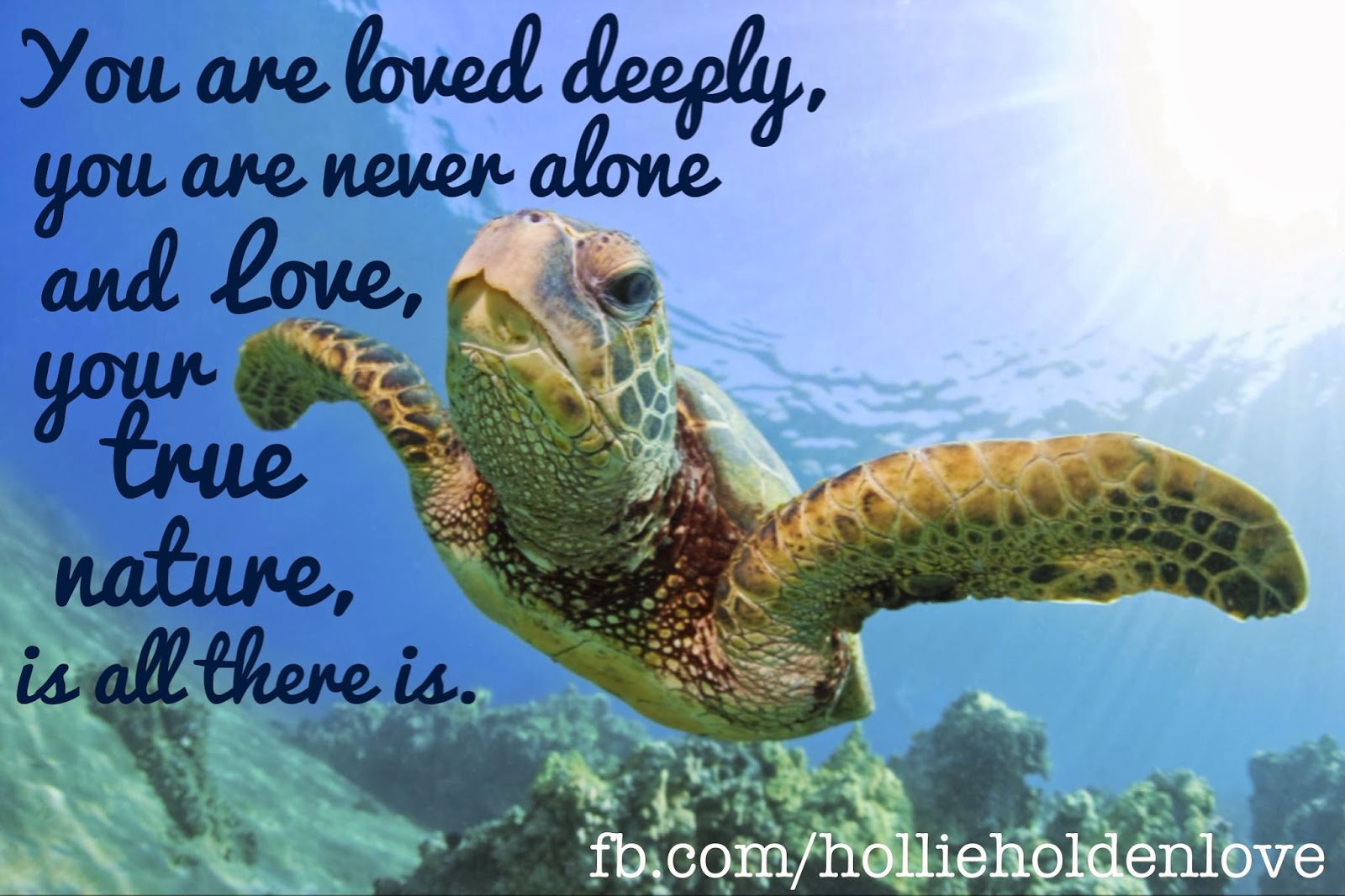 Hollie Holden: An Unlikely Guru Meeting (The Story of the Turtle of Love)