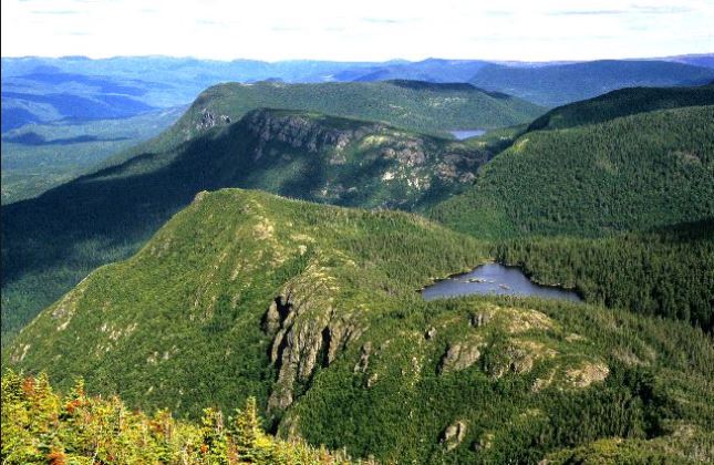~Travel Around The World~: Le Tour-du-Mont-Albert at National Park Gaspesie
