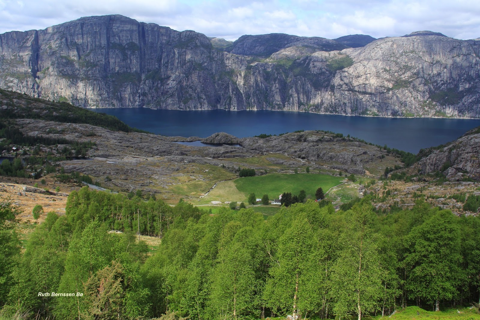 solsikken: Fossmark. Forsand Kommune