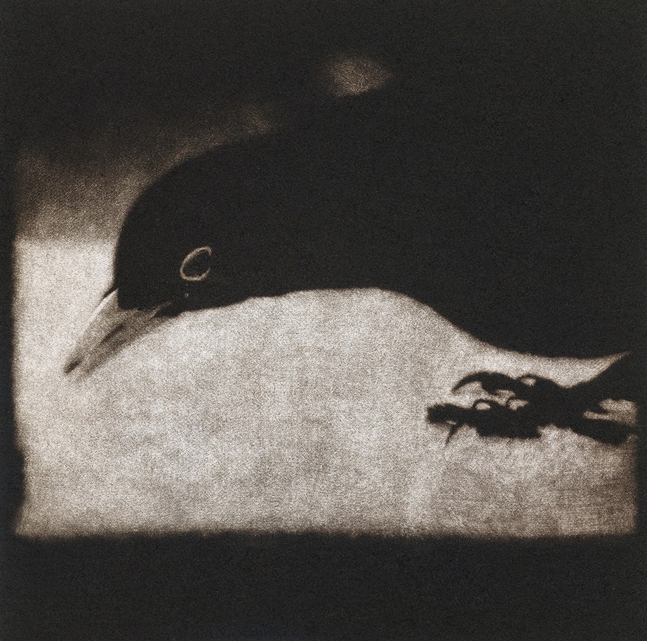 Other lives - Sarah Gillespie