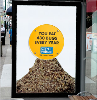 Miss L's Whole Brain Teaching: What To Order/Create/Find?