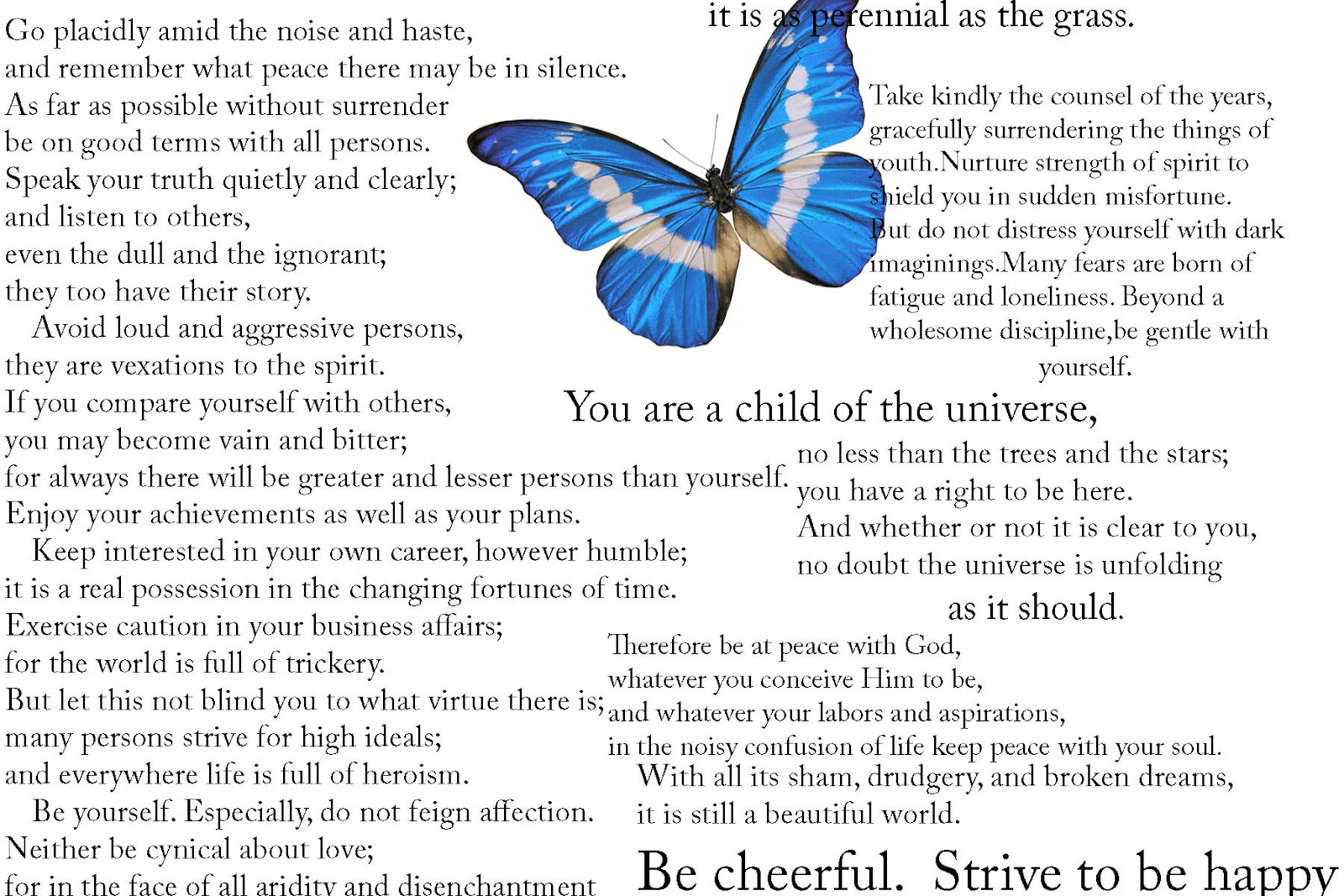 Laurinha traducciones