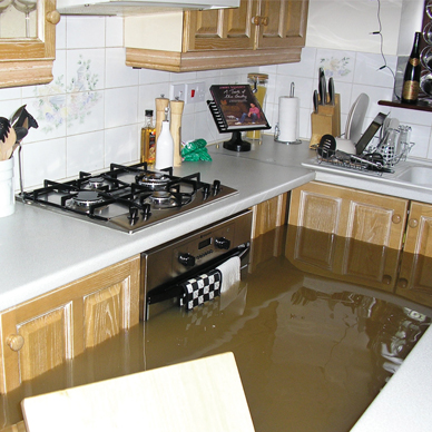 Not As Sweet As I Look: The Runaway