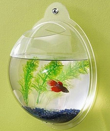 Modernity Collective: Modern Fishbowls. Yes Fishbowls.