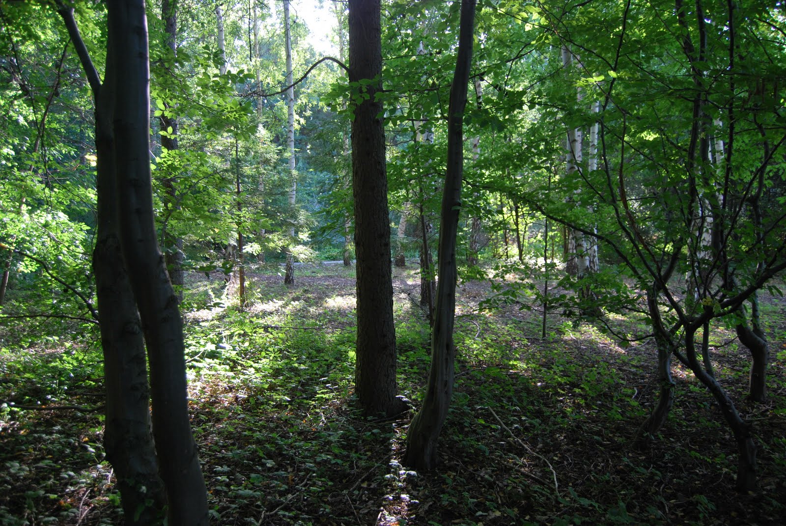 Sitting, Waiting, Wishing!: Alnarp Landscape Laboratory