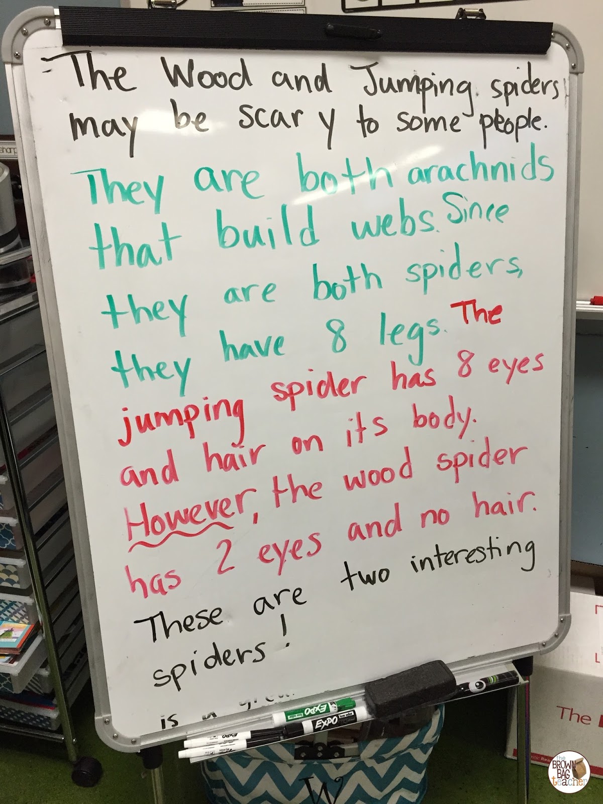 Teaching Students to Organize Writing - The Brown Bag Teacher