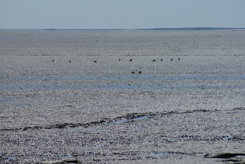 Nele & Andrew Around Oz: Gilbert River Rest Area, QLD (73km E of Croydon)
