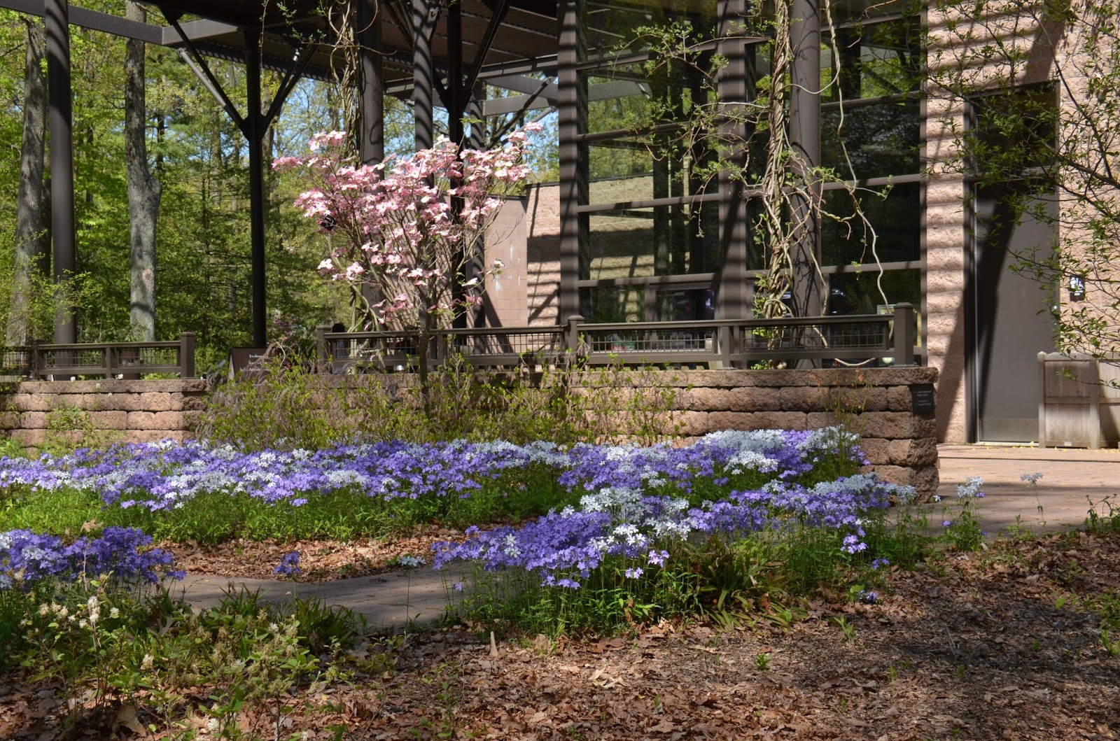 Azalea Hill - Lasting Landscapes by Carol