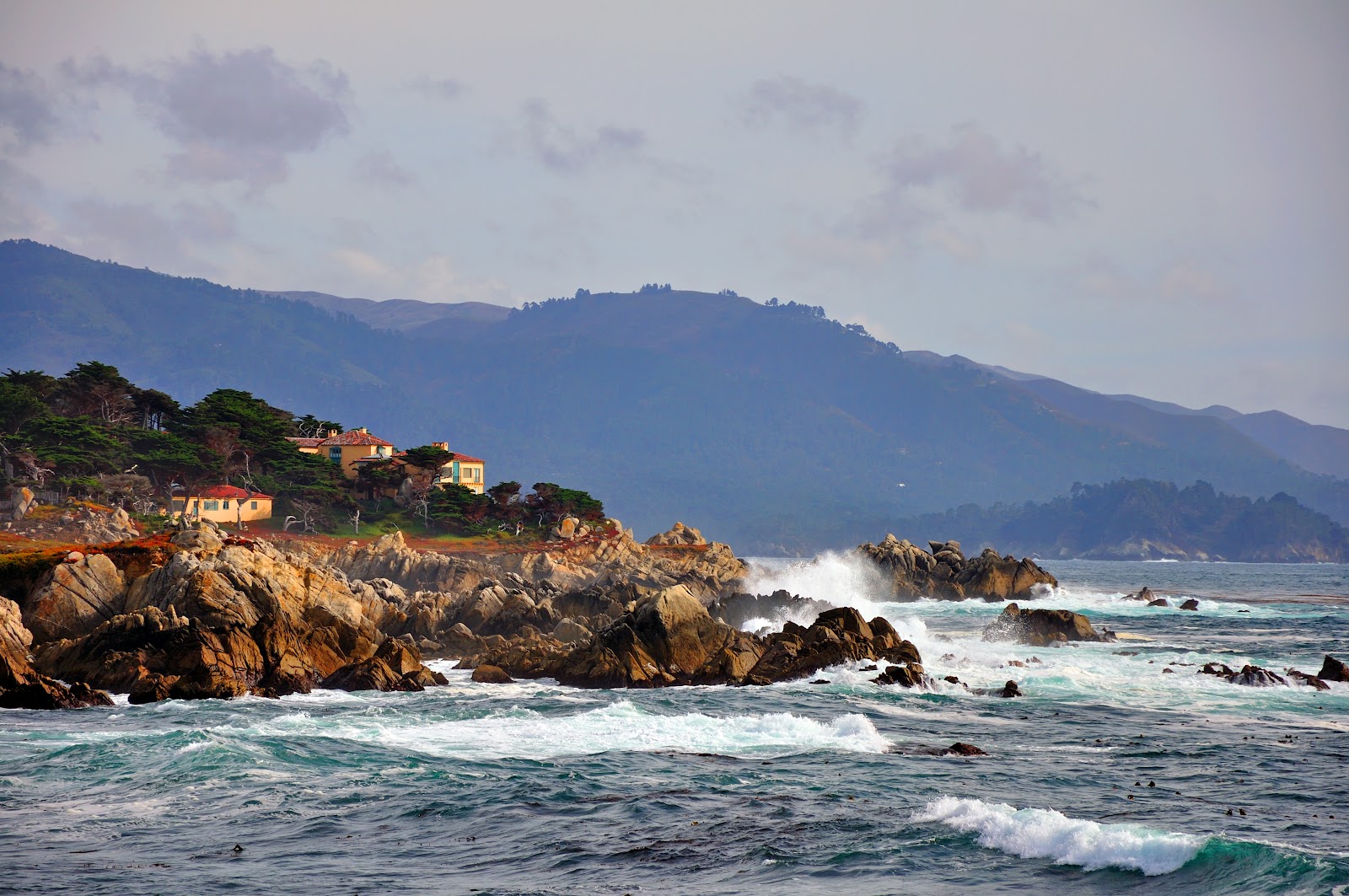 Barbara Rich Photography