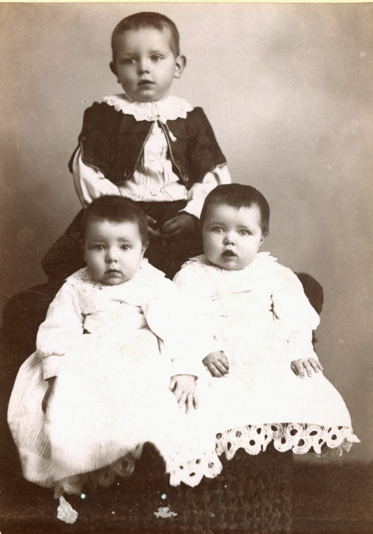 Port Wing Passages: Memories of a pioneer child - Fred Larson's story