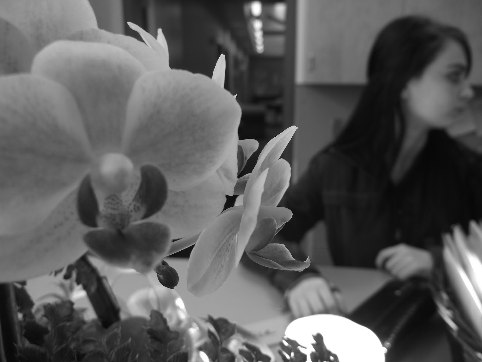 Elizabeth.Lucia.Garside(: