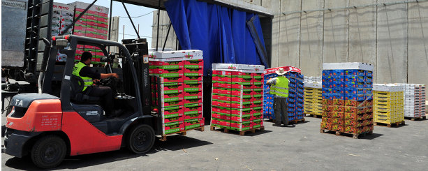 How To Start Home Base Exportation Business