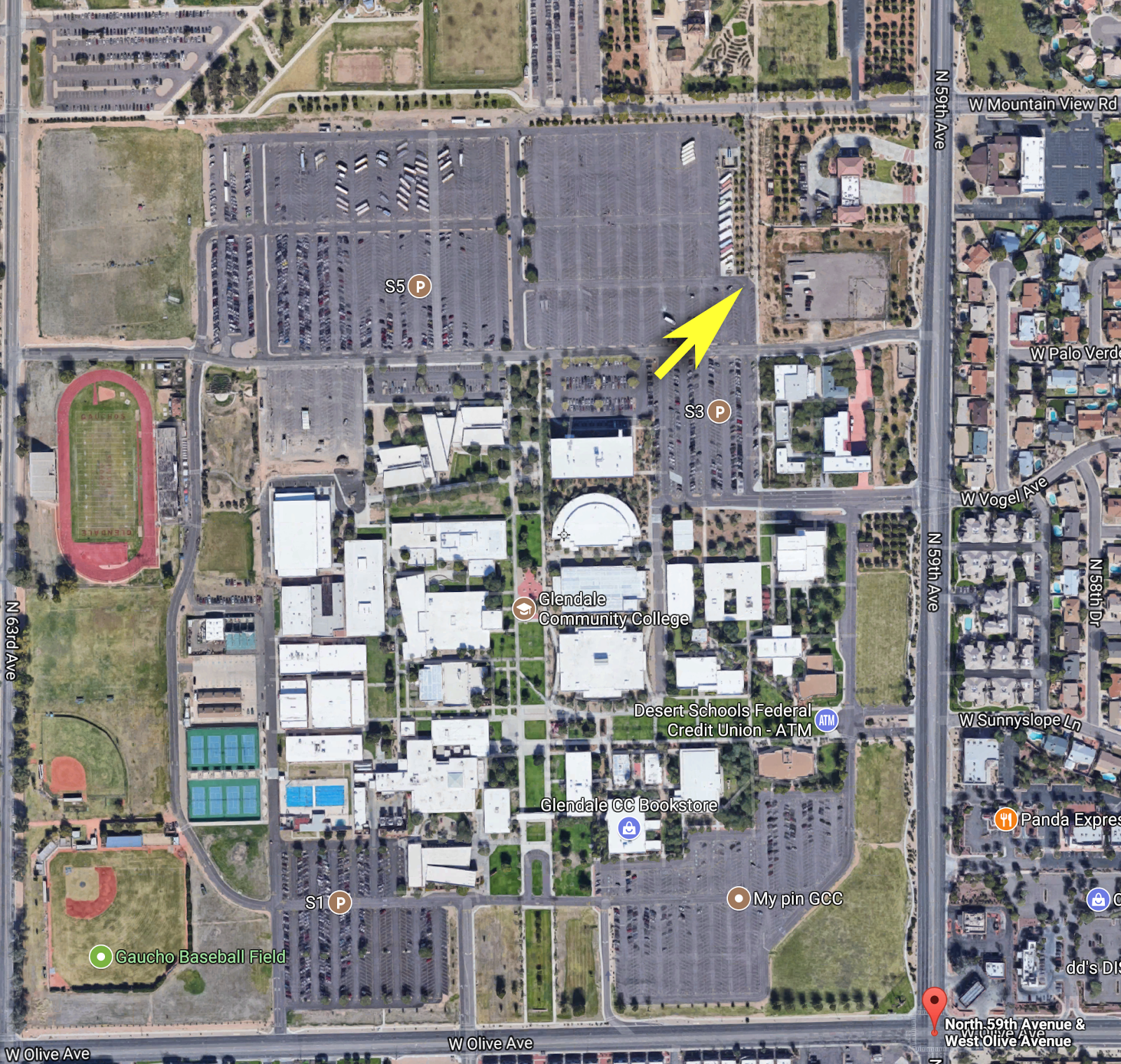 History Adventuring: How to see the historic trees of Glendale ...