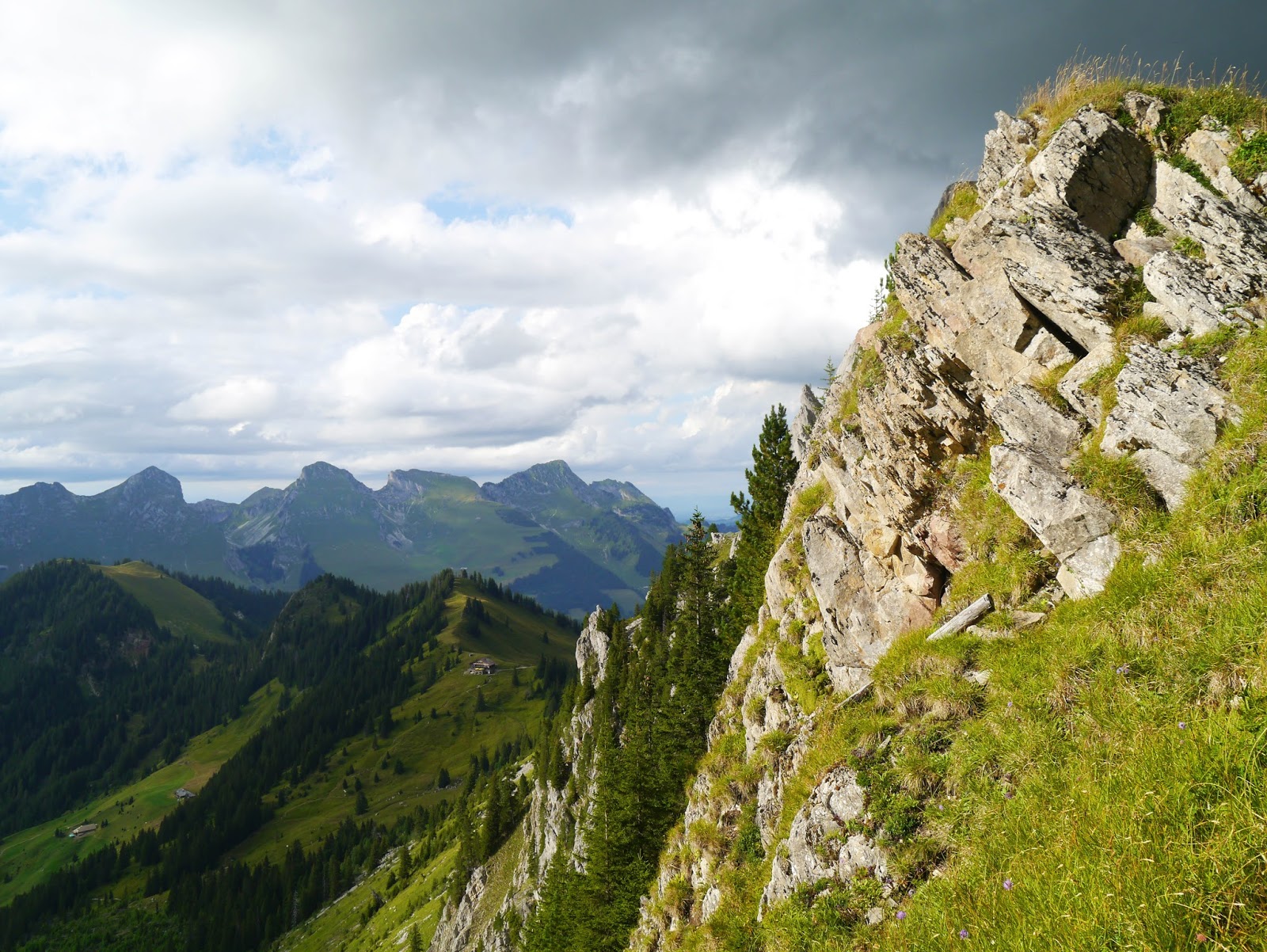 The Food Trotter: Romandy, Switzerland: between Vaud & Fribourg ...