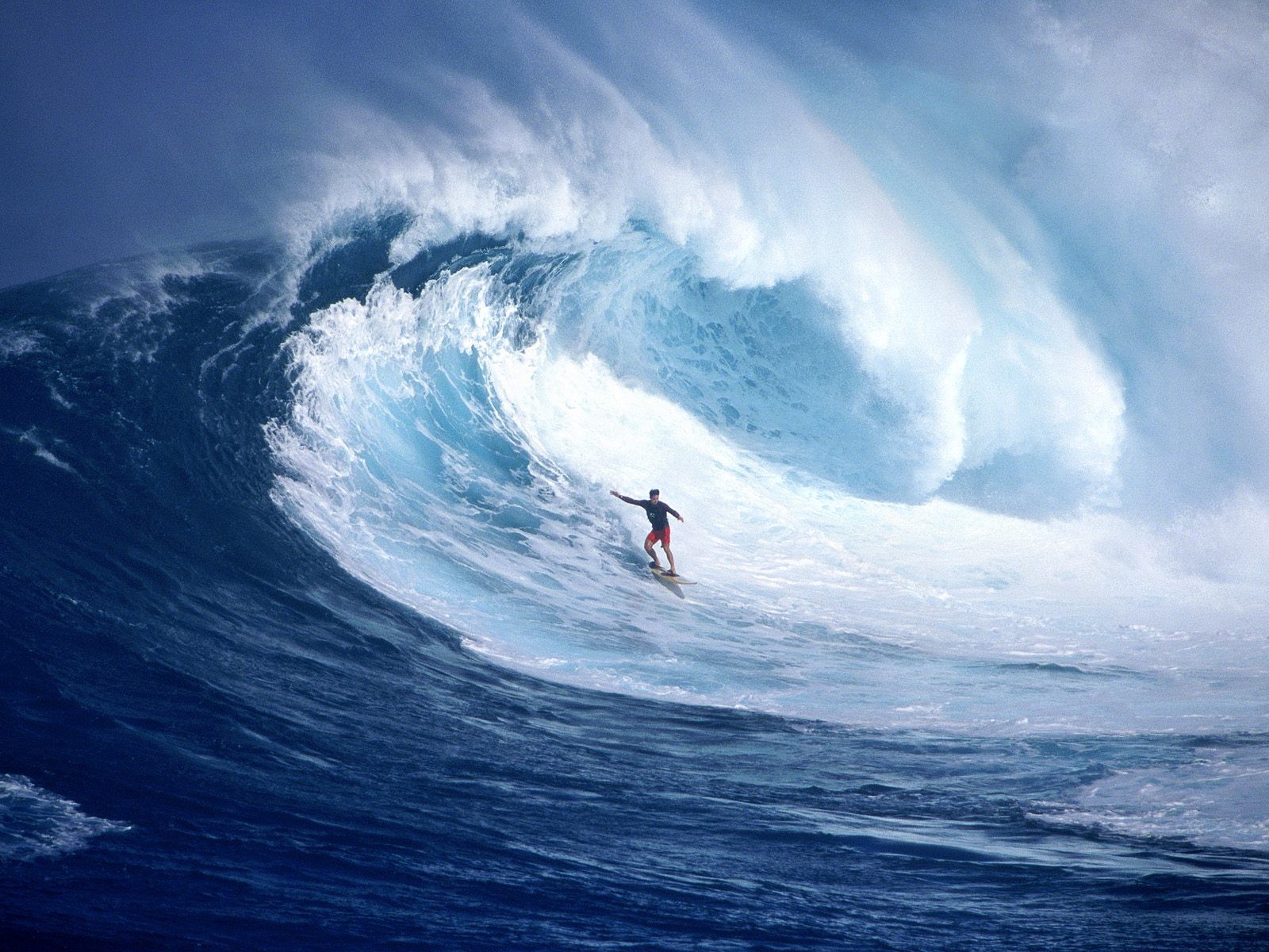 Surf wallpapers gratis