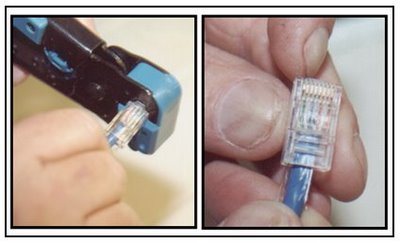 Langkah-Langkah Dalam Crimping Kabel