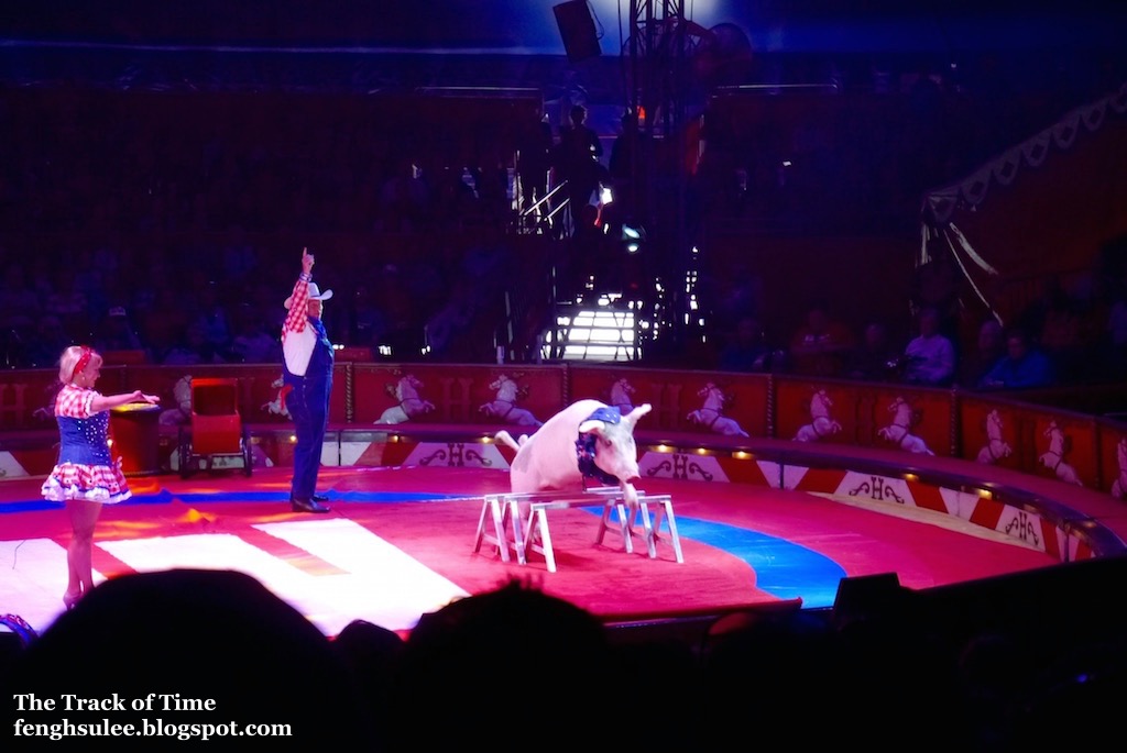 Big E 2016 - Circus Spectacular | The Track of Time