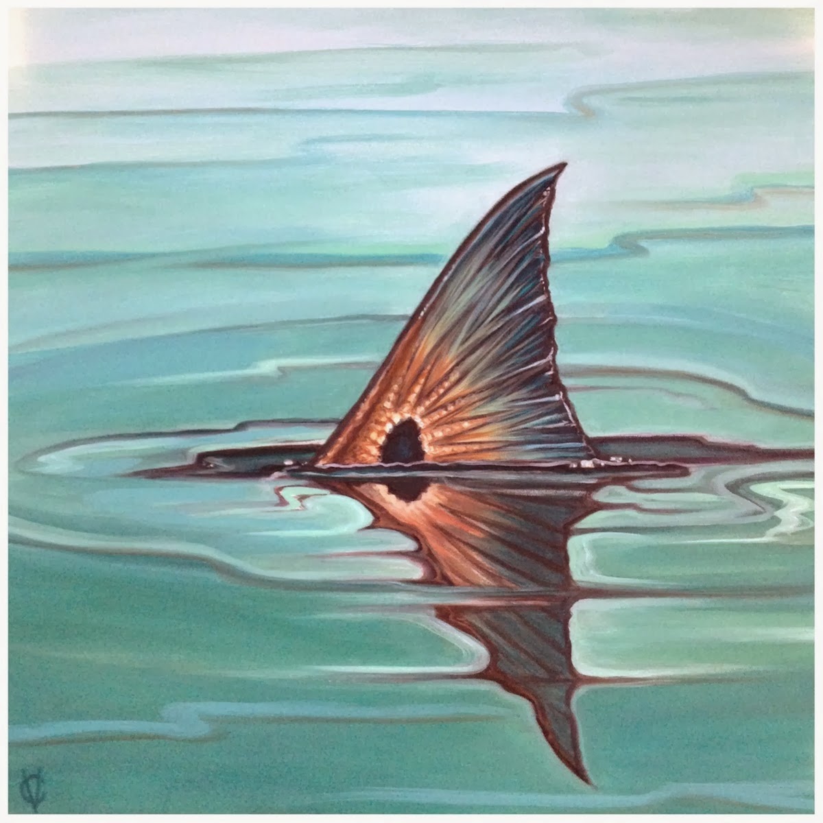 Girl With A Surfboard: Tailing redfish