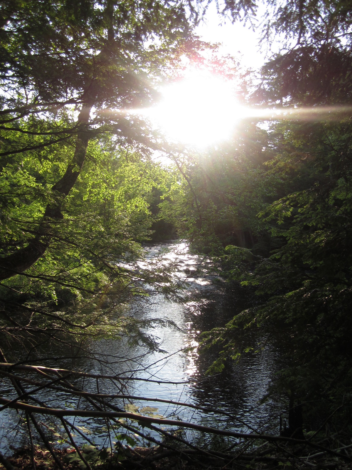 a life more awesome: Isinglass River, Rochester, NH