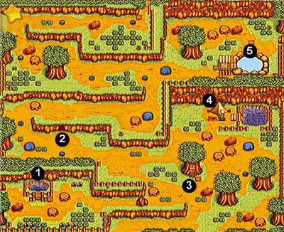 Harvest Moon SNES: Maps and Locations | Casual Gamers Site!