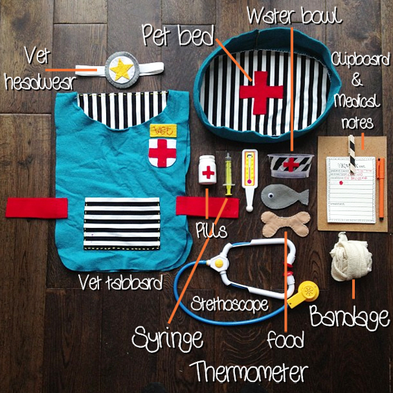 Queen Kwak: DIY: Play vet kit.