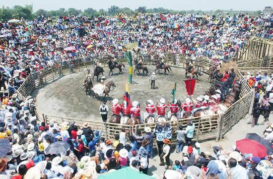 FIESTAS TRADICIONALES DEL ECUADOR: RODEO MONTUBIO, MANABI Y GUAYAS
