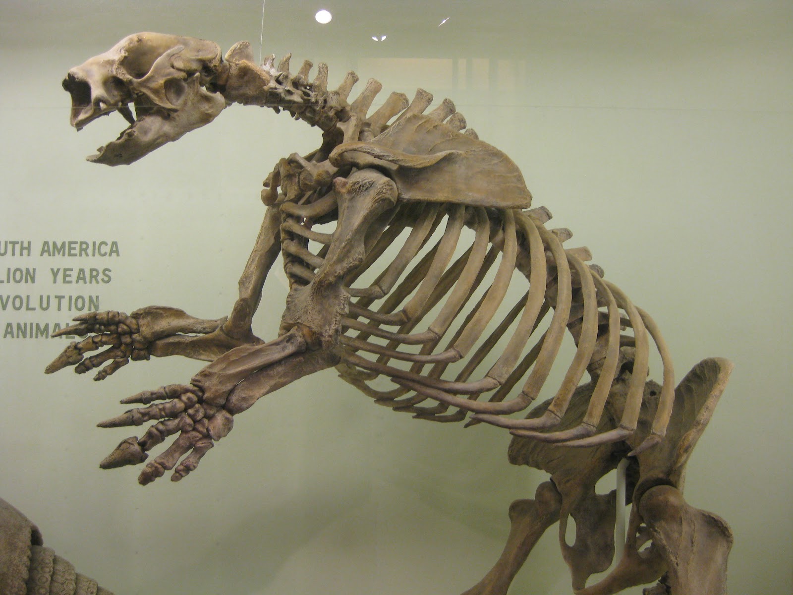 WHS AP Bio 2012: Byrne: Examples of Reproductive Isolation