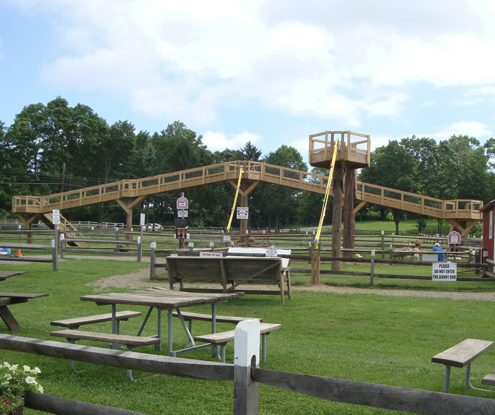 TEXTILE TROLLEY: The local Goat Walk!!!!!! What? You don't have one?