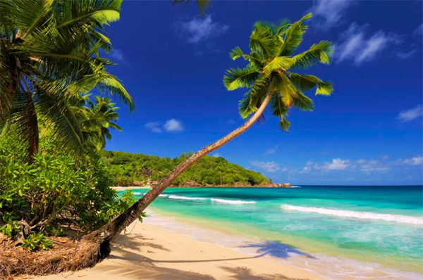 Karibik Bilder: Der perfekte Karibikstrand