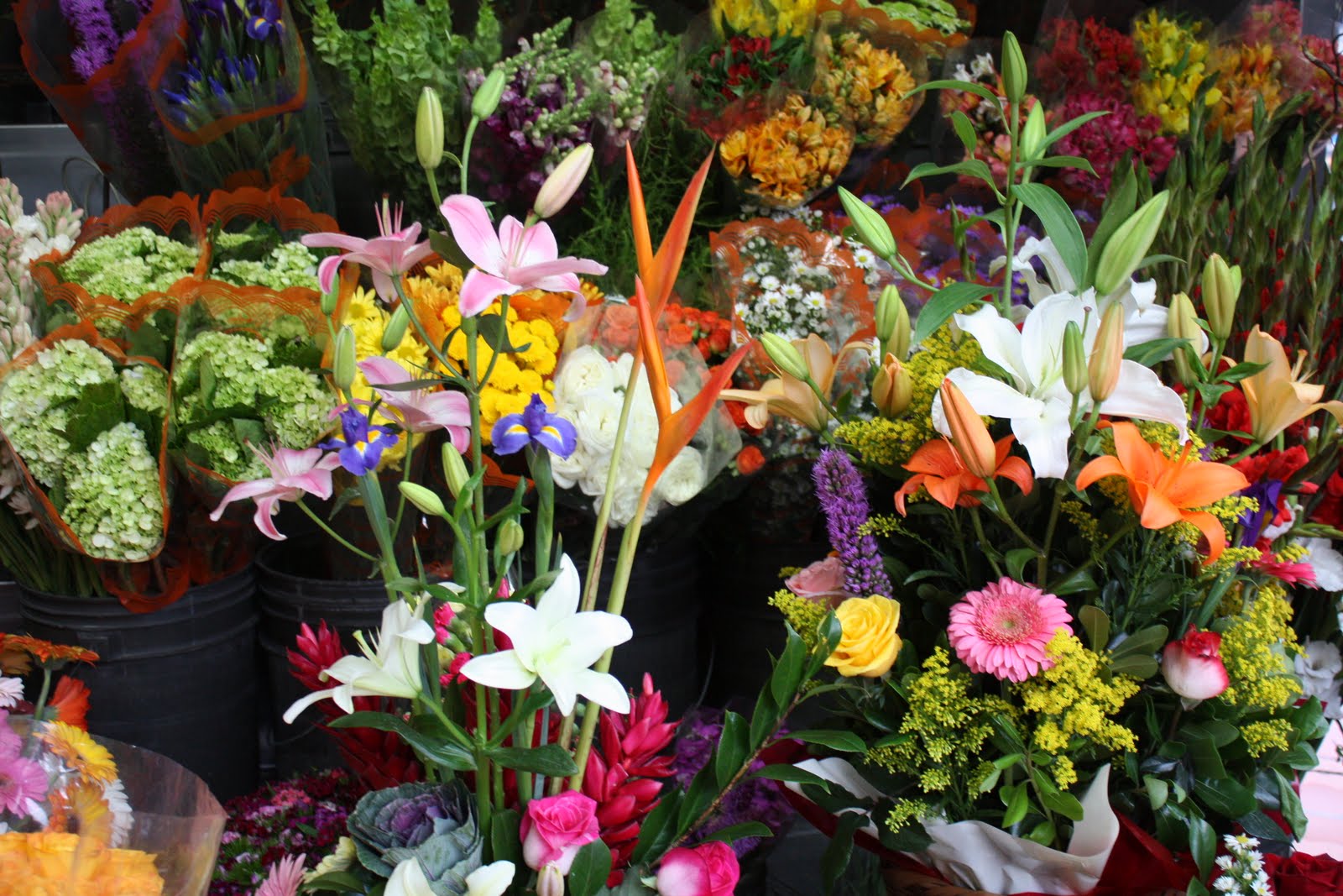 Mis días en México: Las Florerías