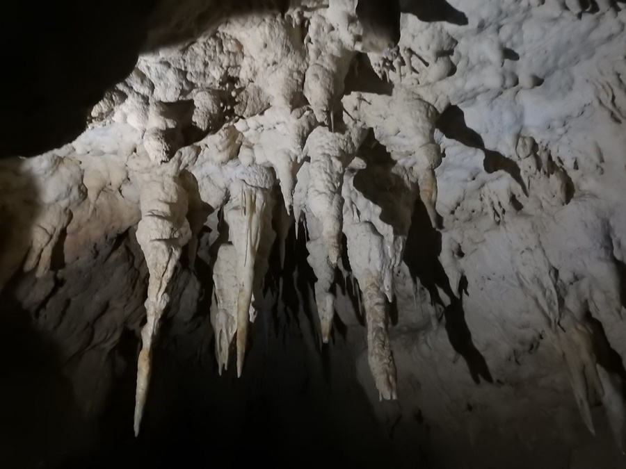 photographing New Zealand: Ruakuri Cave