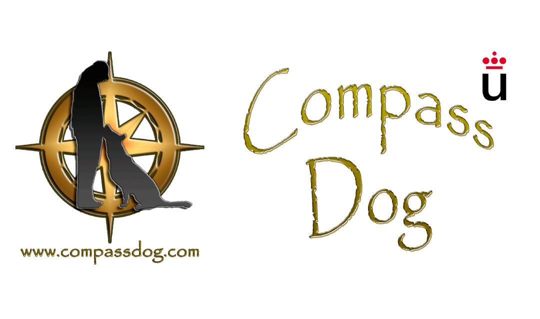 ADIESTRAMIENTO MALLORCA: ENTREVISTA CON ISRAEL GONZÁLEZ DE COMPASS DOG.