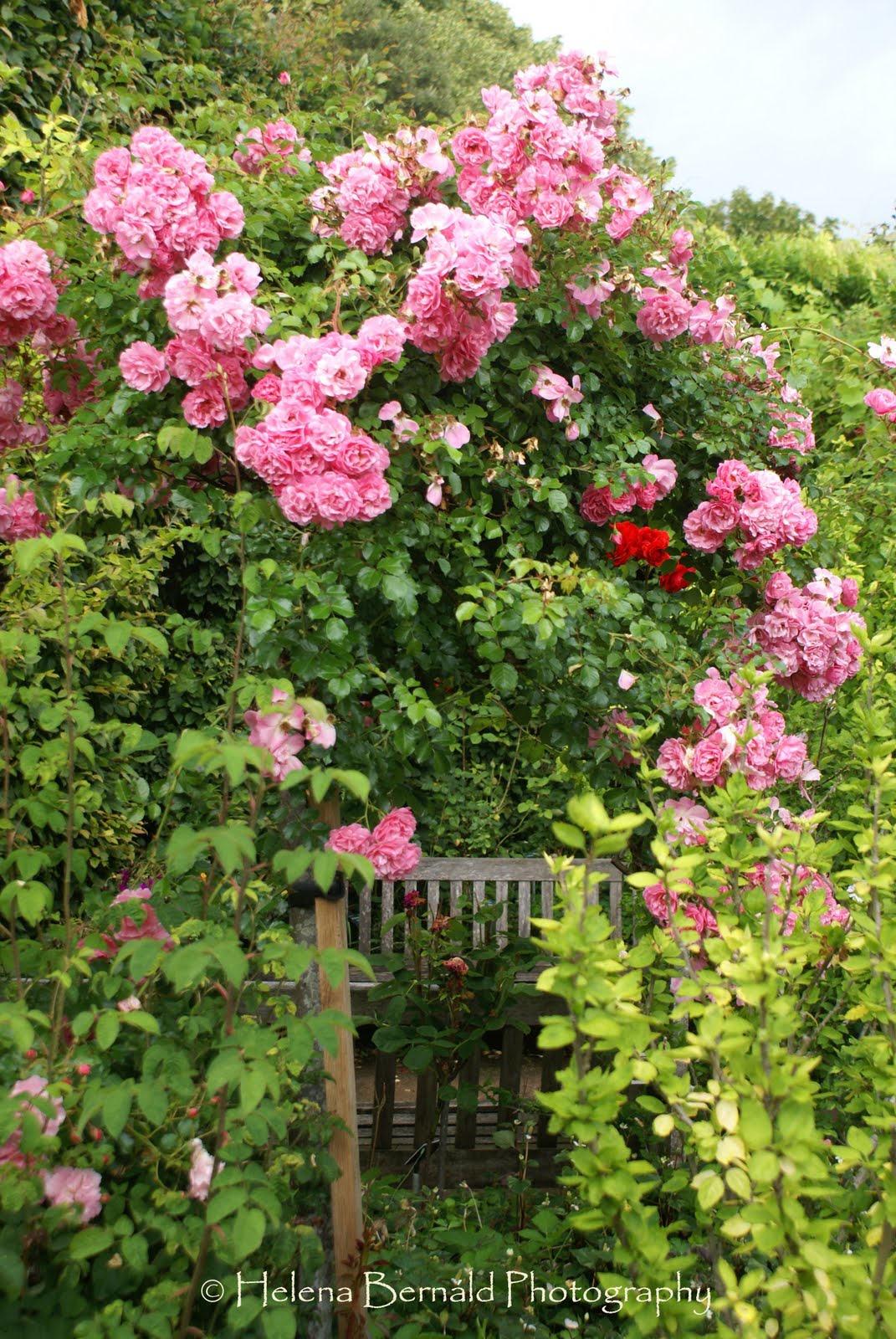 The Swenglish Home: July 2011