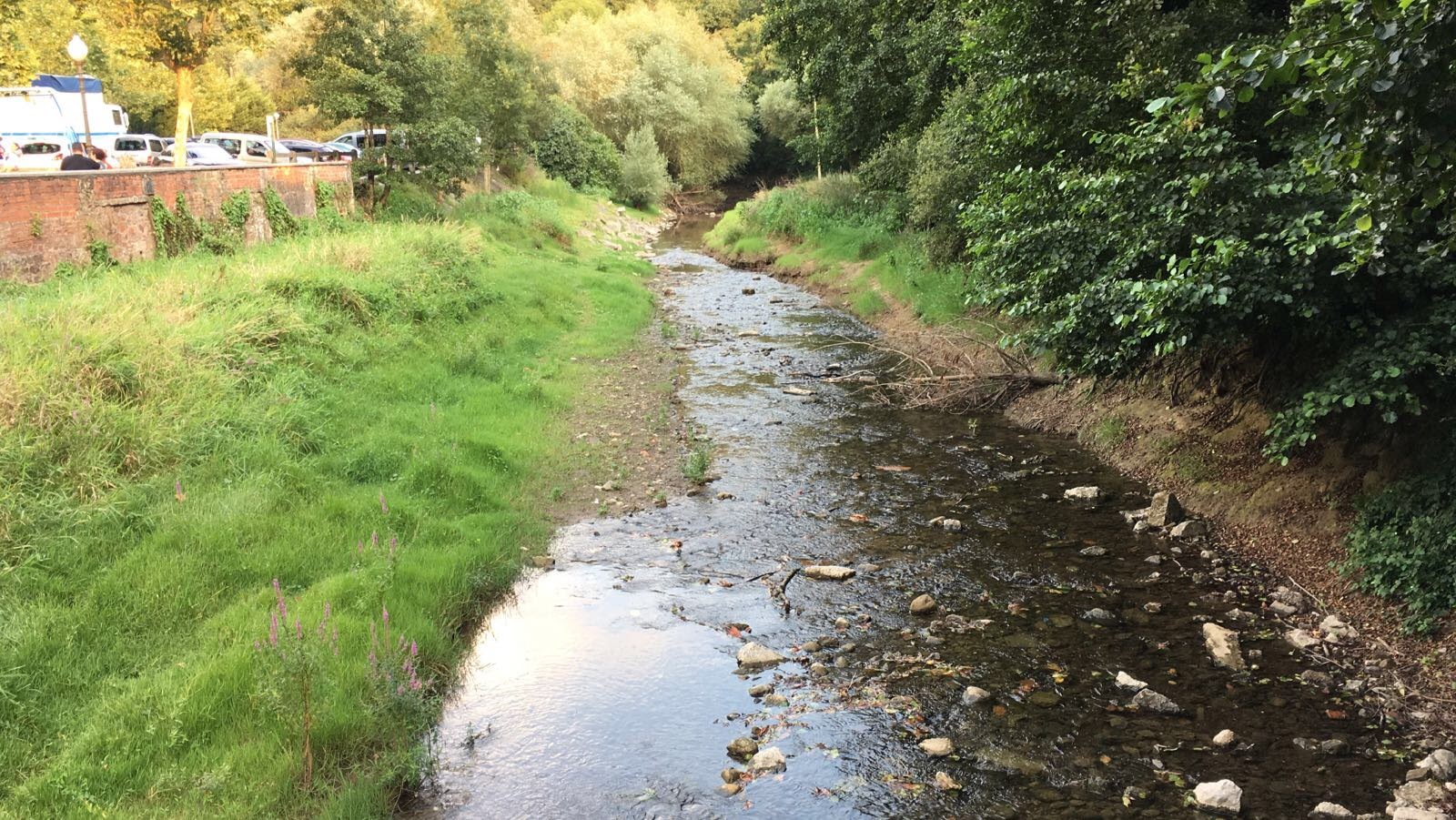 Voluntarios limpiarán el río Castaños en El Regato en un proyecto que ...