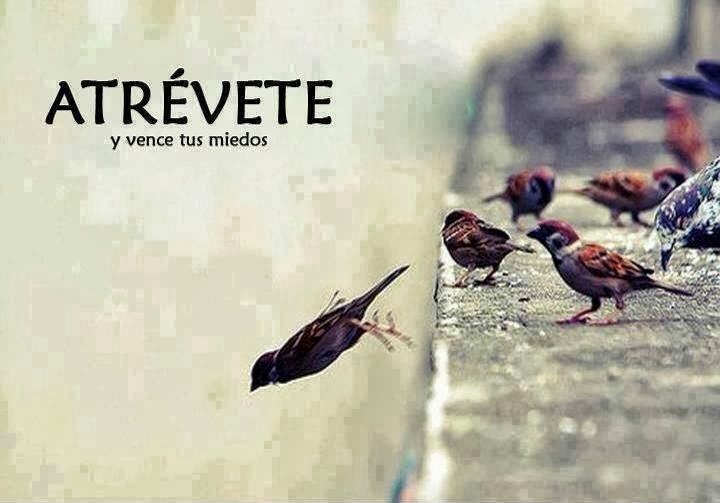 El Periódico de las BUENAS NOTICIAS: Atrévete