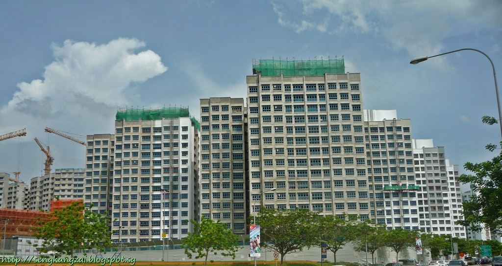 Zai@Sengkang: Anchorvale Horizon (Yr 13 Wk 32)
