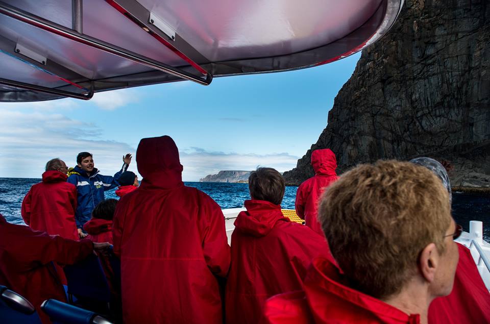 Di's Walk a Month: March 2016 - Three Capes Track