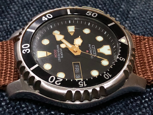 Regin's Realm: Citizen Promaster vintage diver watch