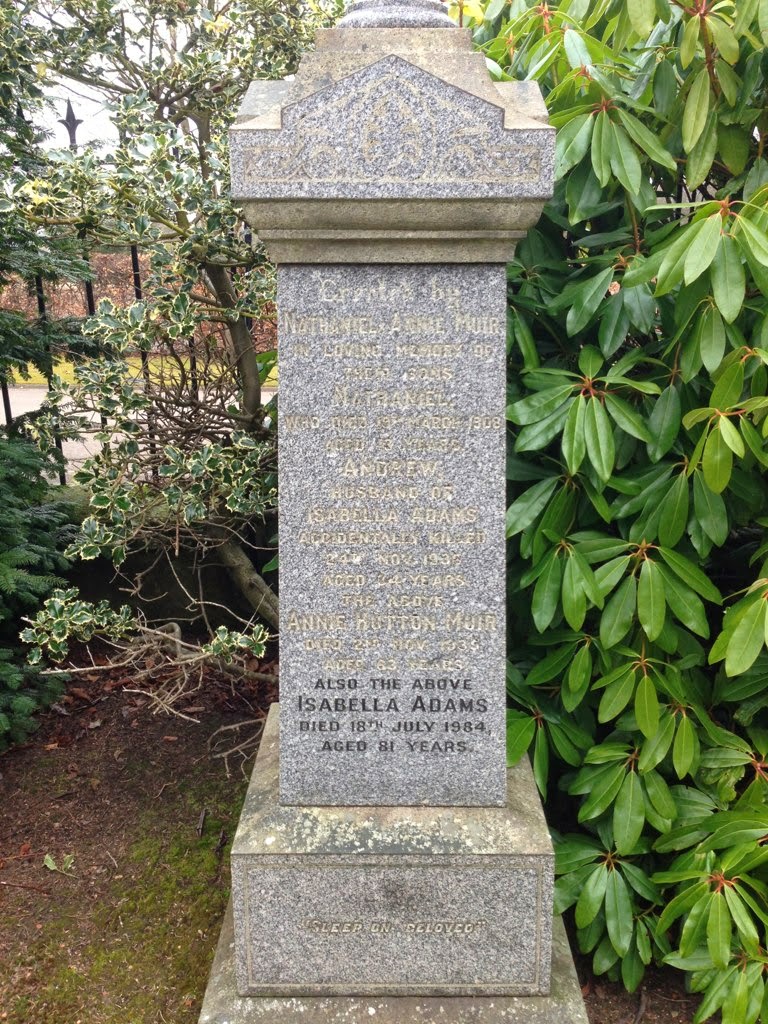 Worldwide Genealogy ~ A Genealogical Collaboration: Asking Some ...