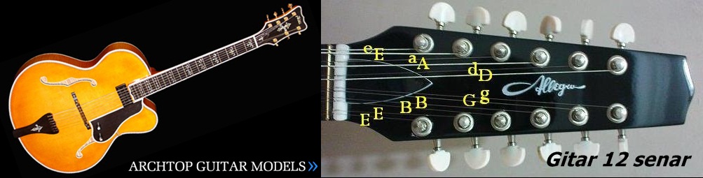 Raini's Blog (っˆヮˆ)っ: Jenis-jenis Gitar