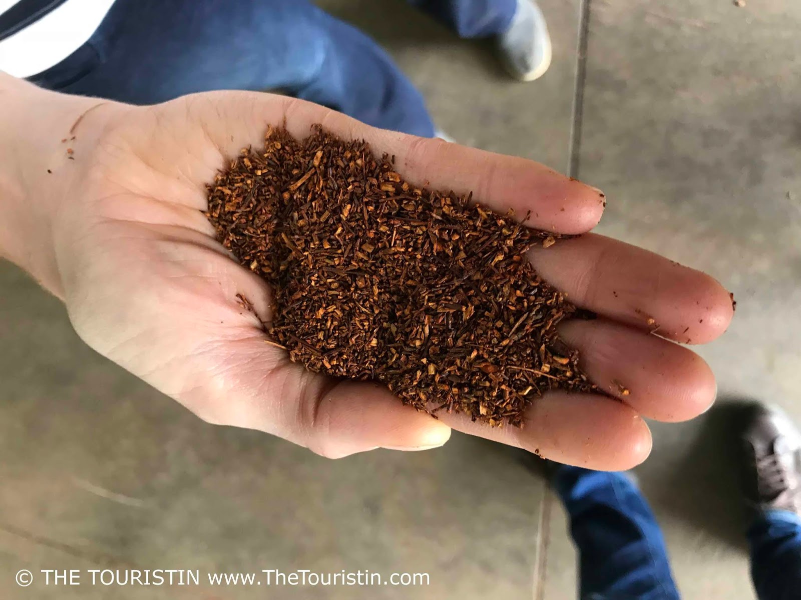 THE TOURISTIN: Visiting a Rooibos Tea Farm in the Western Cape Province