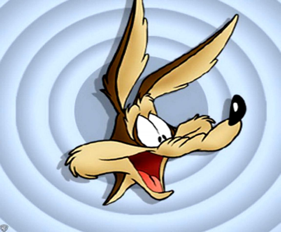 Wile E Coyote Cartoon Hd Wallpaper | Mega Wallpapers