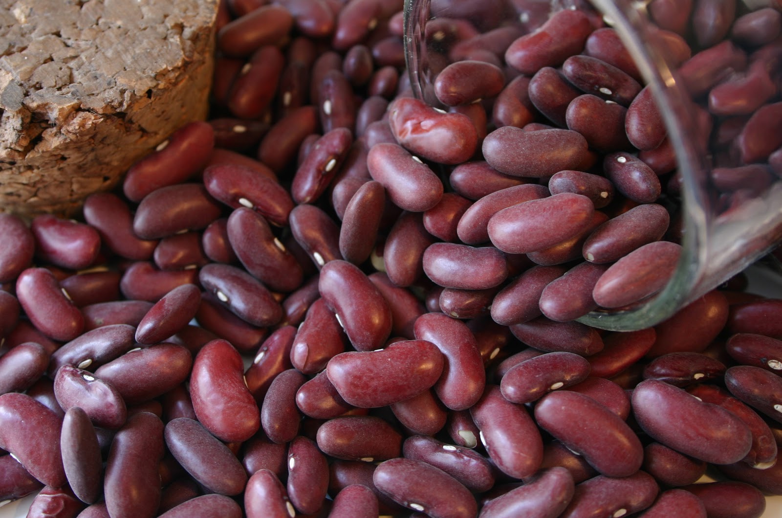 Mi Cocina Salvadoreña: Sobre el Frijol